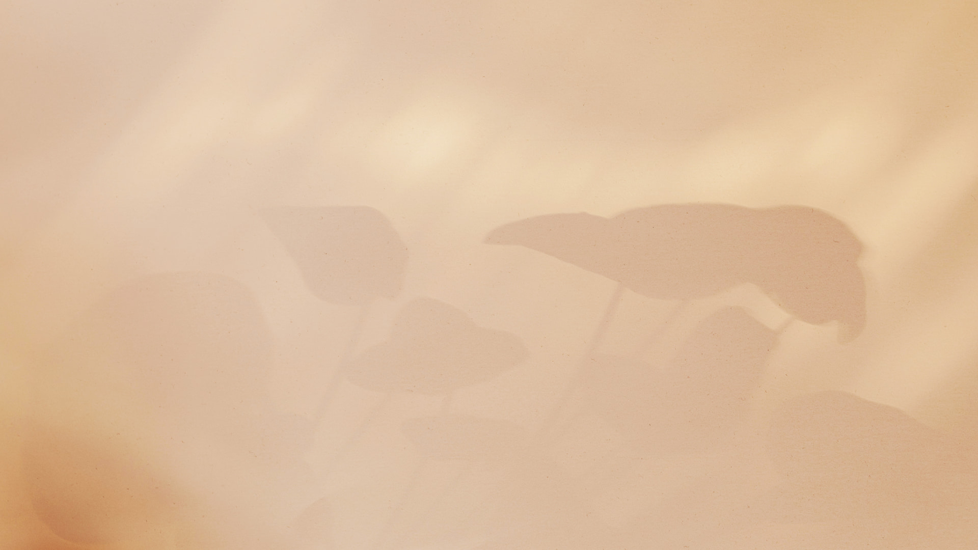 Teeth grinding & jaw tension | Victoria Park Medispa